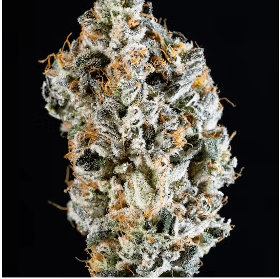 Galactic Gas (Hybrid) - Alien Labs Weed 3.5G · Sticky_Buds